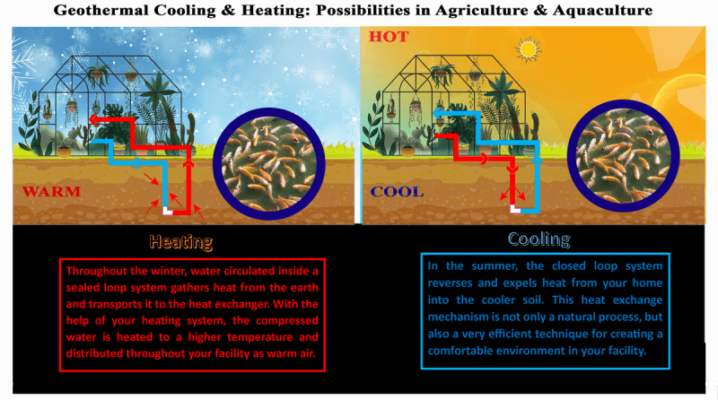 Geothermal Energy Possible use in Aquaculture for heating and cooling ...
